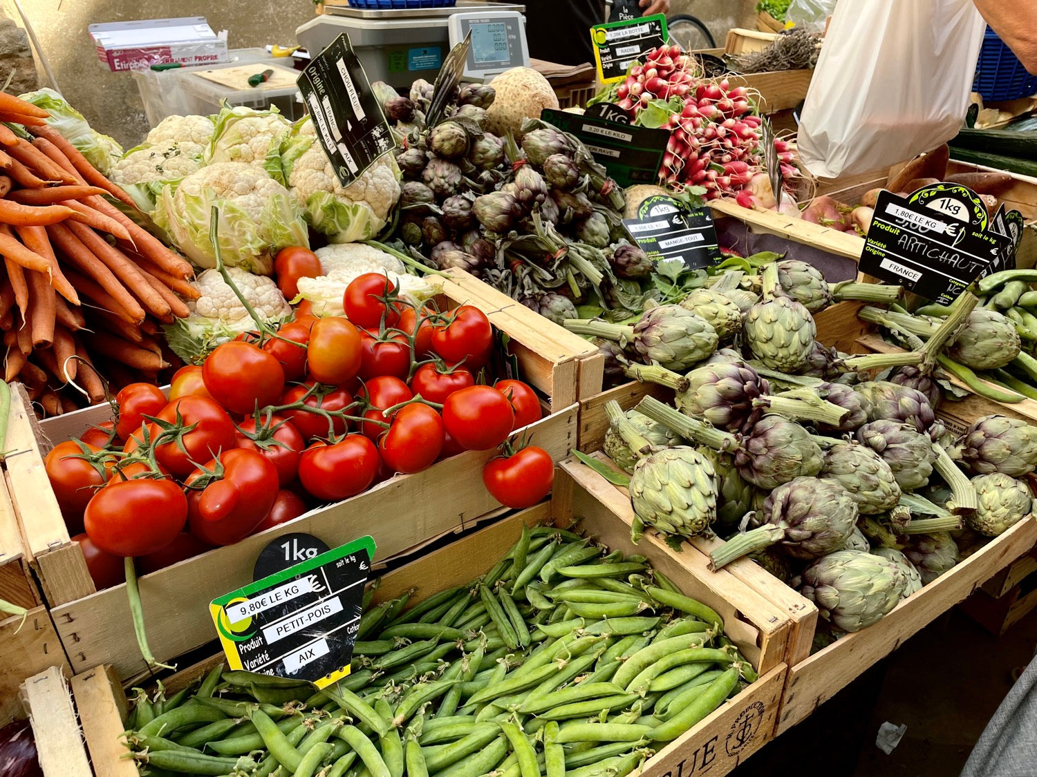 The Ultimate Travel Legging – Chickfly