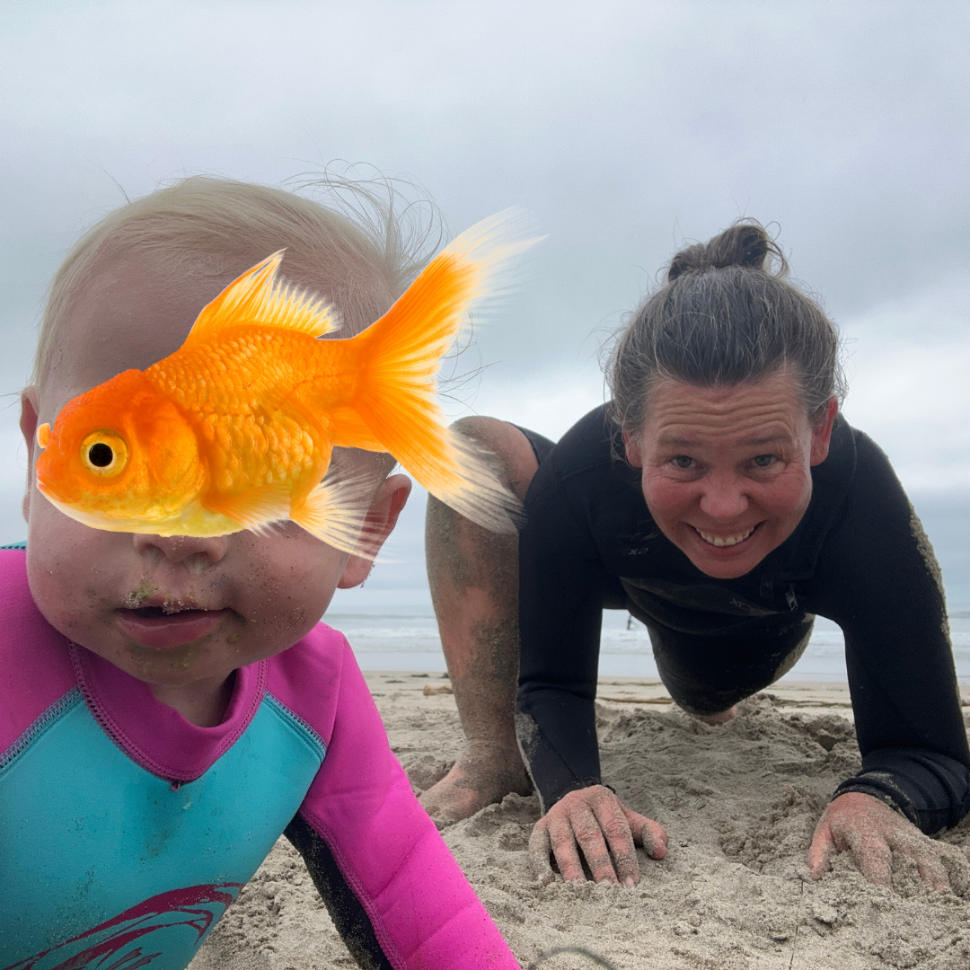 Emerging from Holiday Hibernation – Chickfly